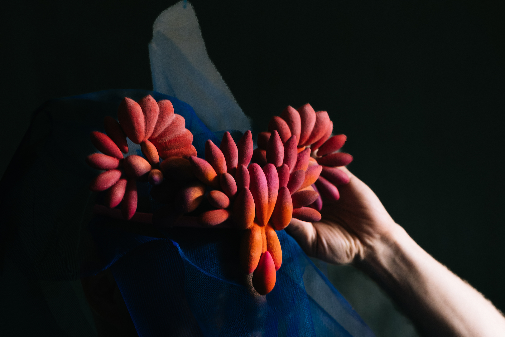 Tanel Veenre. Sinihabe - Eesti Tarbekunsti- ja Disainimuuseum