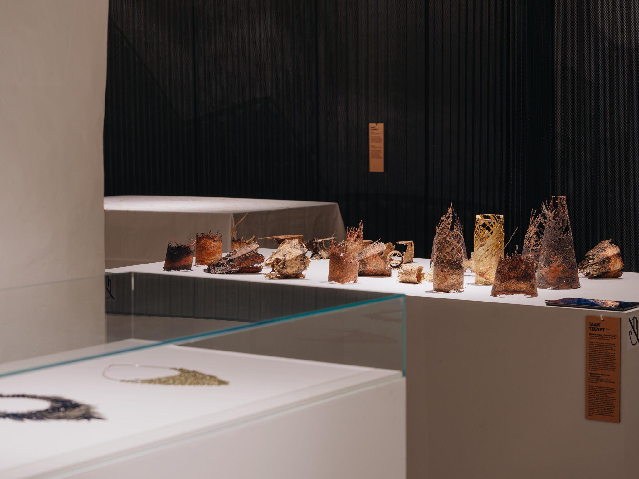 Piirideta aineväljadel - Eesti Tarbekunsti- ja Disainimuuseum